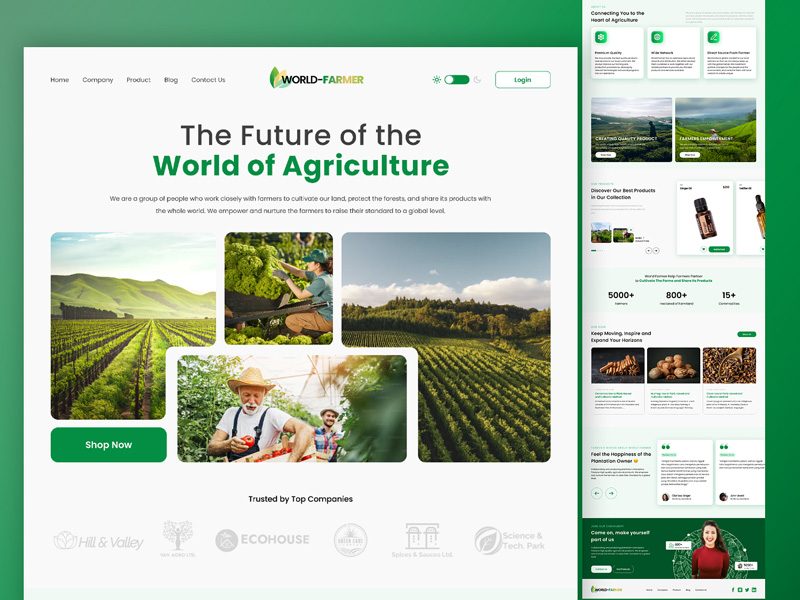 Strategic Guide to Agricultural Company Branding - Zillion Designs