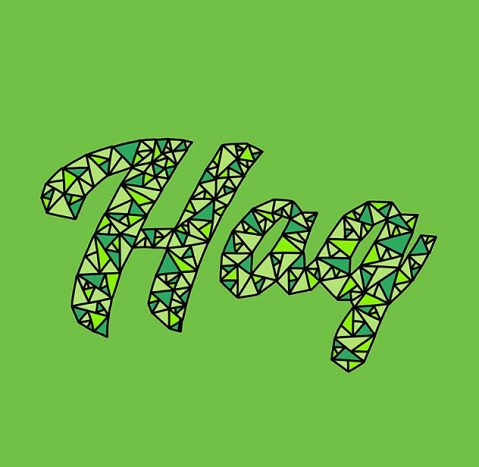 20 Typography Instagram Accounts to Follow - ZillionDesigns