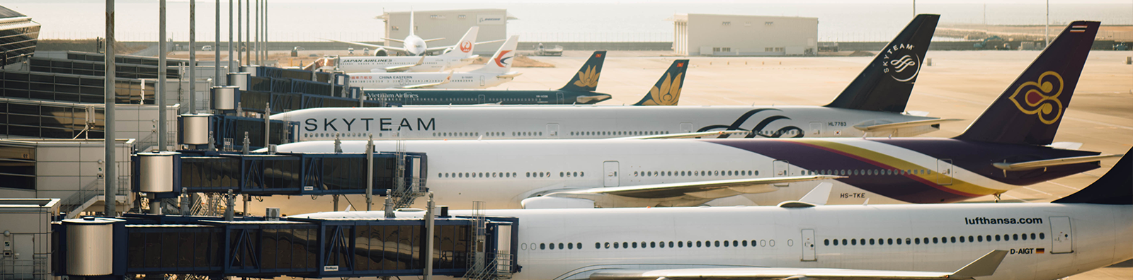 Best International Airline Logos with Mythological Creatures