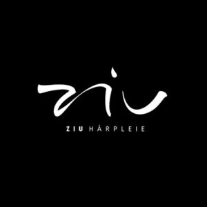 How to Design a Logo Based on Visual Hierarchy Principles - ZillionDesigns