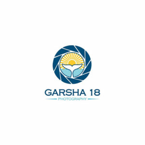 Designing Pattern Logos - Checklist for Logo Designers - ZillionDesigns