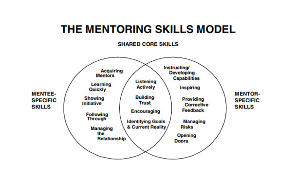 Additional Skills to Become Graphic Design Mentor - Zillion Designs