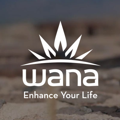 Top Marijuana Logo Design Inspirations - Zillion Designs