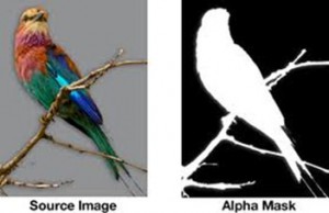 Alpha Channel - ZD Blog - ZillionDesigns