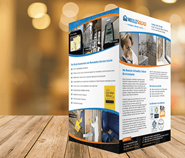 Get Company Logos, Website, Graphic Design | ZillionDesigns