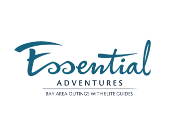 Get Tour Logos | Best Logo Inspirations | ZillionDesigns